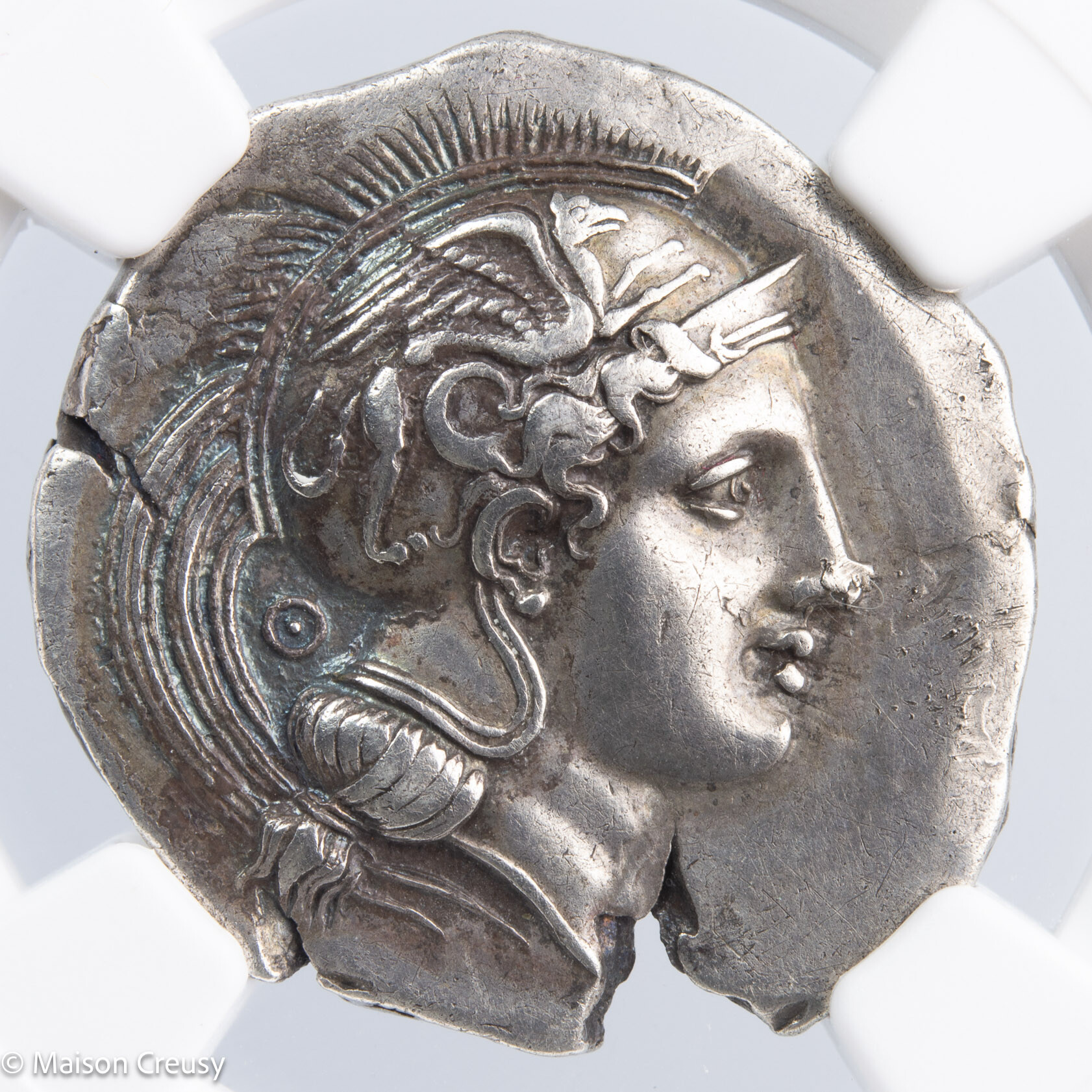 Lucanie didrachm Velia NGC XF - Numismeo