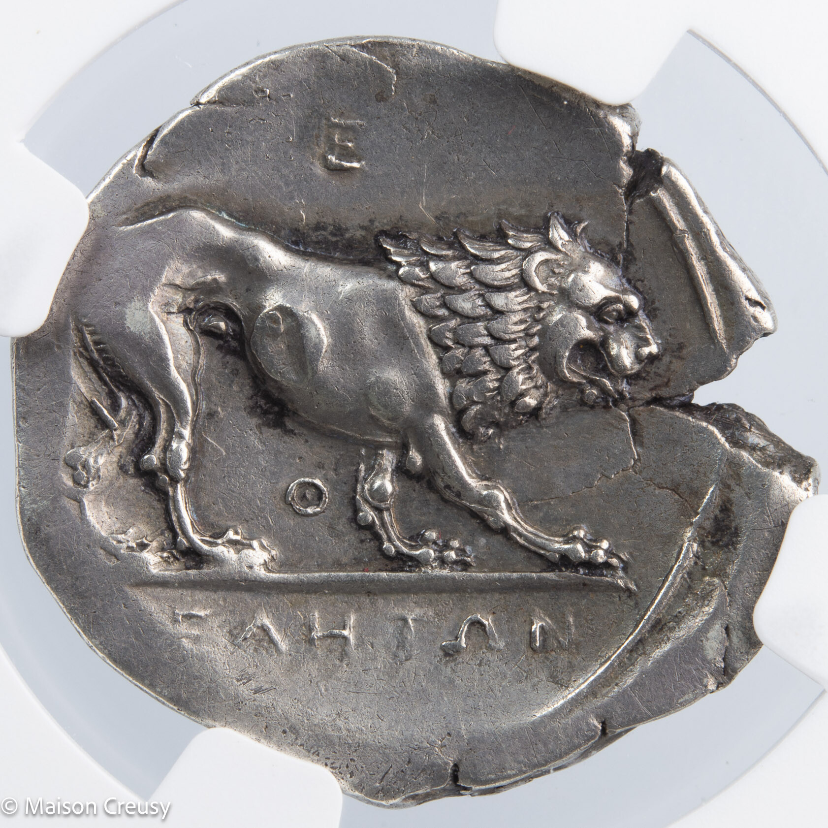 Lucanie didrachm Velia NGC XF - Numismeo
